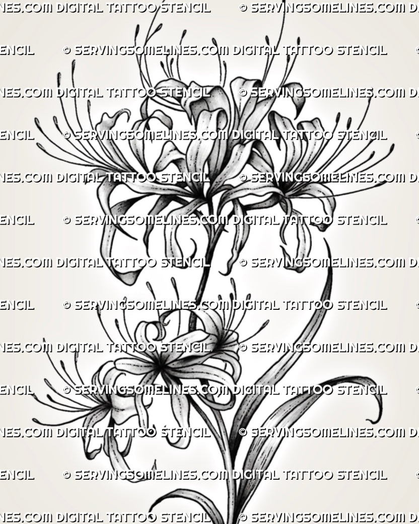 Lily Tattoo Stencils, Lily Flower Designs – ServingSomeLines